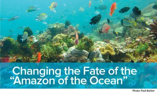 Changing the Fate of the “Amazon of the Ocean” — Institute of the ...