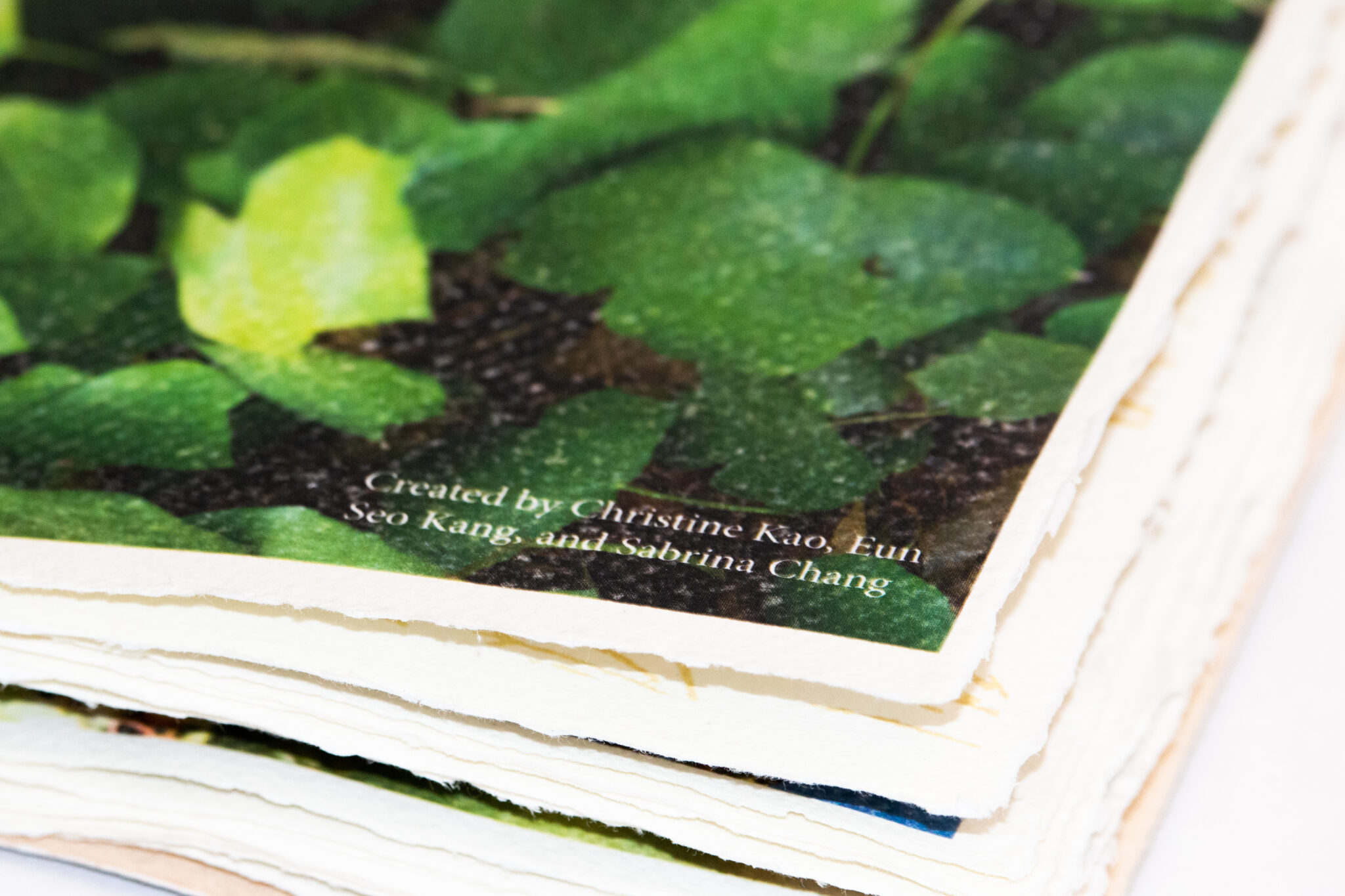 SAGE HILL: GRAPHIC DESIGN FOR NATIVE PLANTS — Institute of the ...