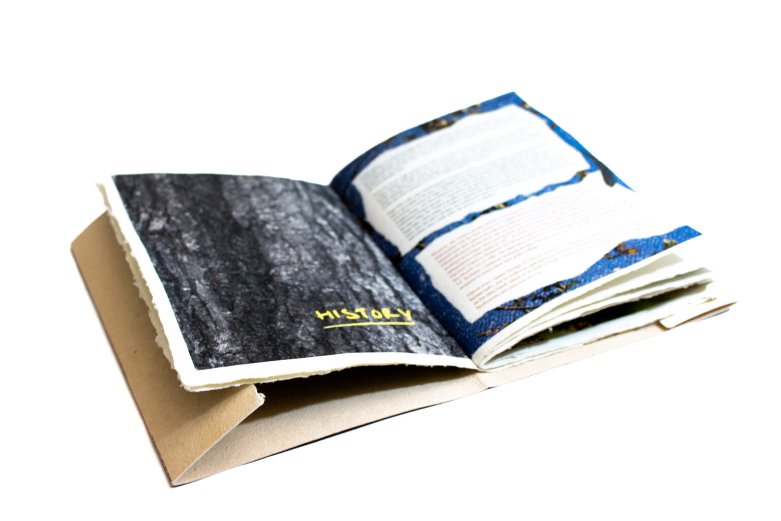 SAGE HILL: GRAPHIC DESIGN FOR NATIVE PLANTS — Institute of the ...