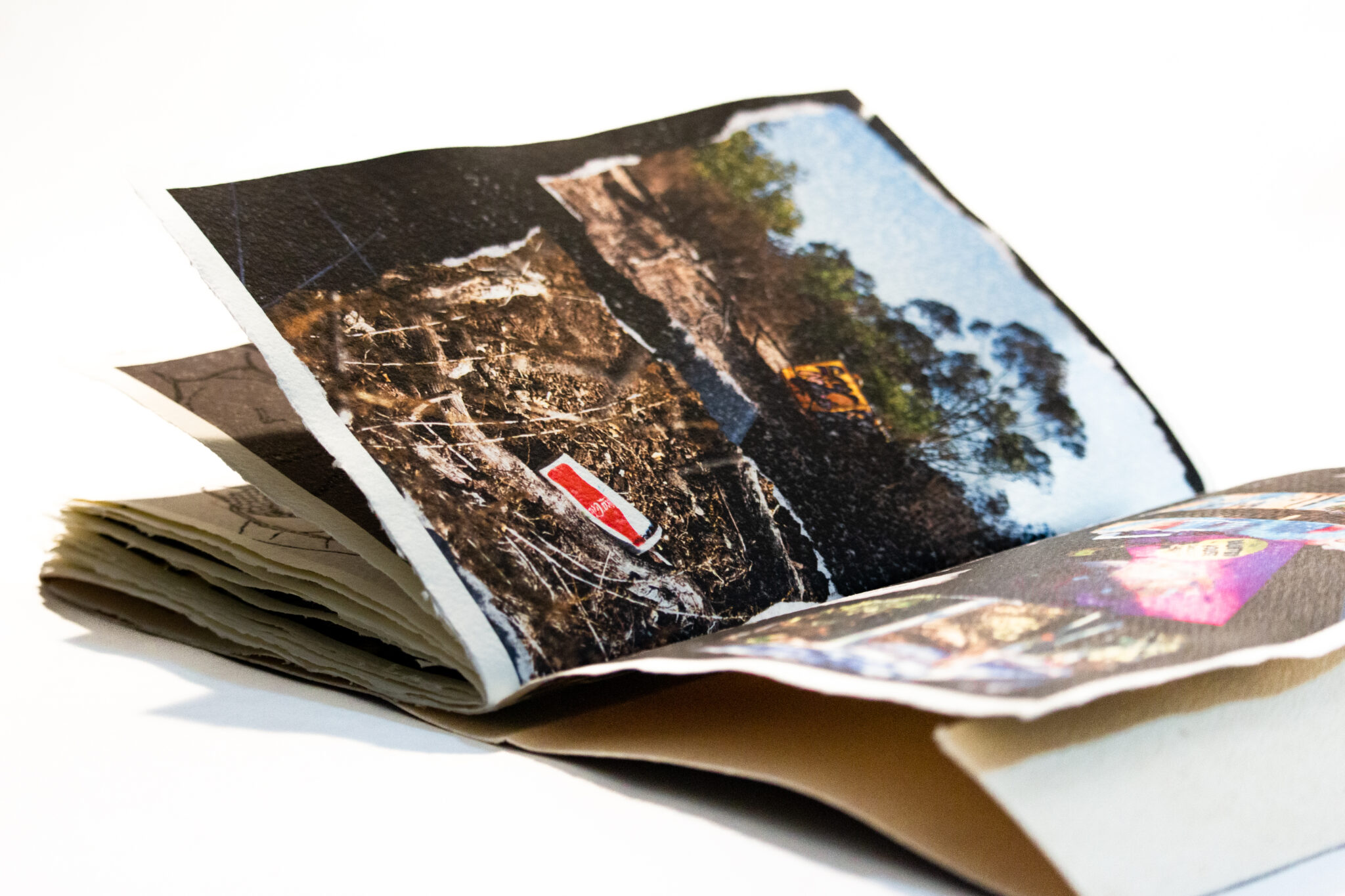 SAGE HILL: GRAPHIC DESIGN FOR NATIVE PLANTS — Institute of the ...