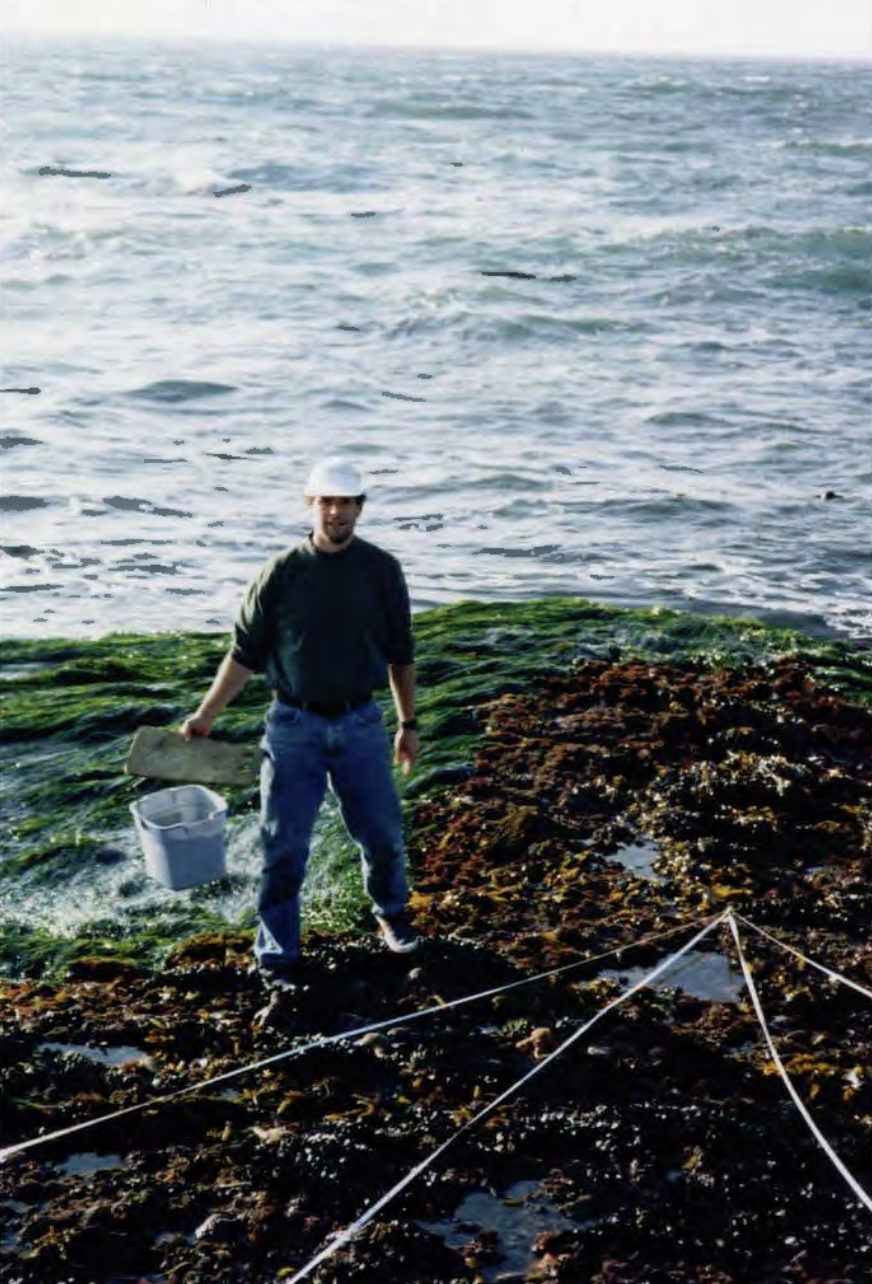 UCLA Environmental Science and Engineering doctoral program turns 50 ...