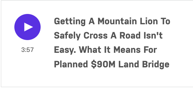 Travis Longcore for LAist — Getting A Mountain Lion To Safely Cross A ...