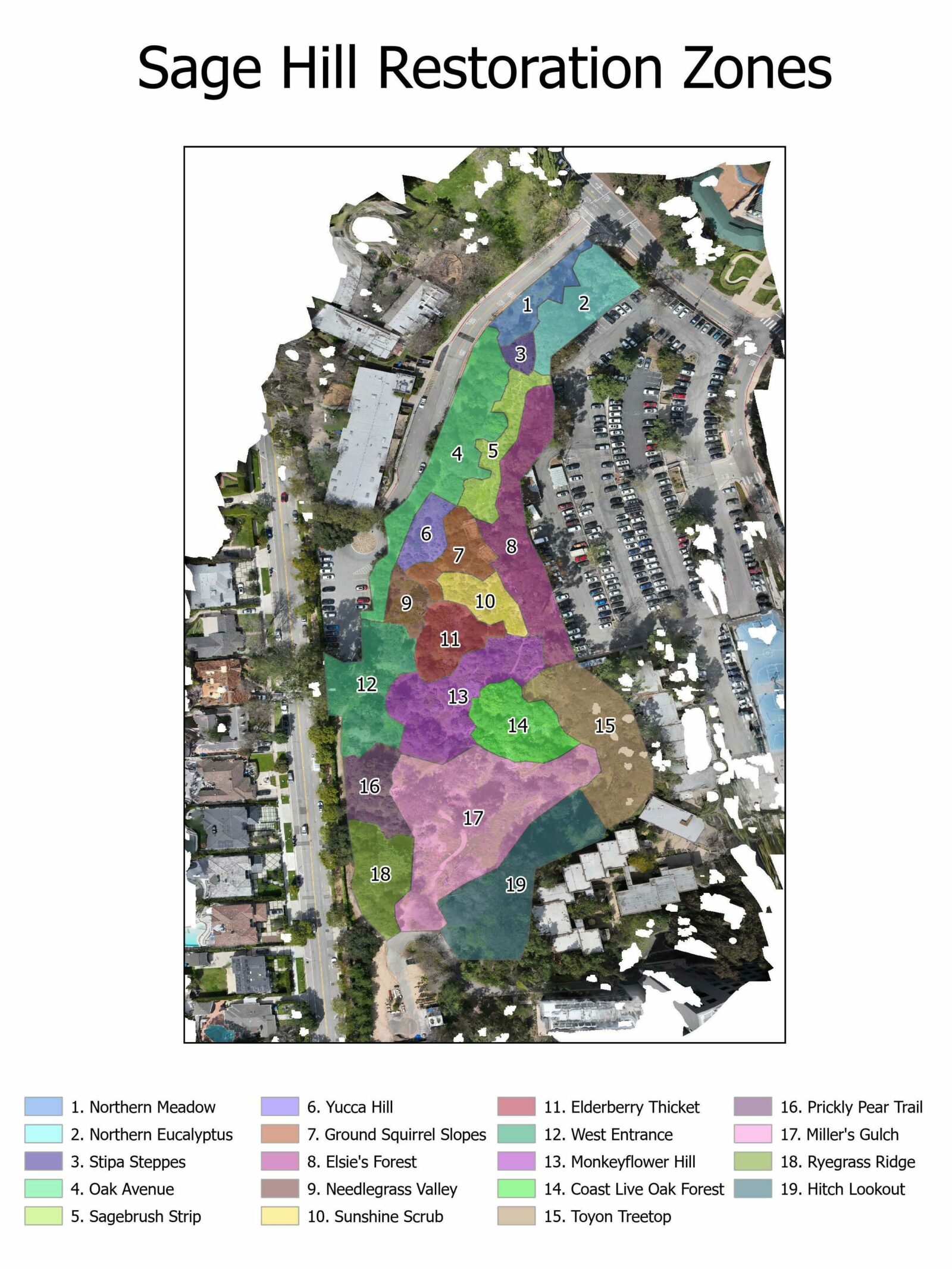 A restoration and monitoring plan for Sage Hill — Institute of the ...